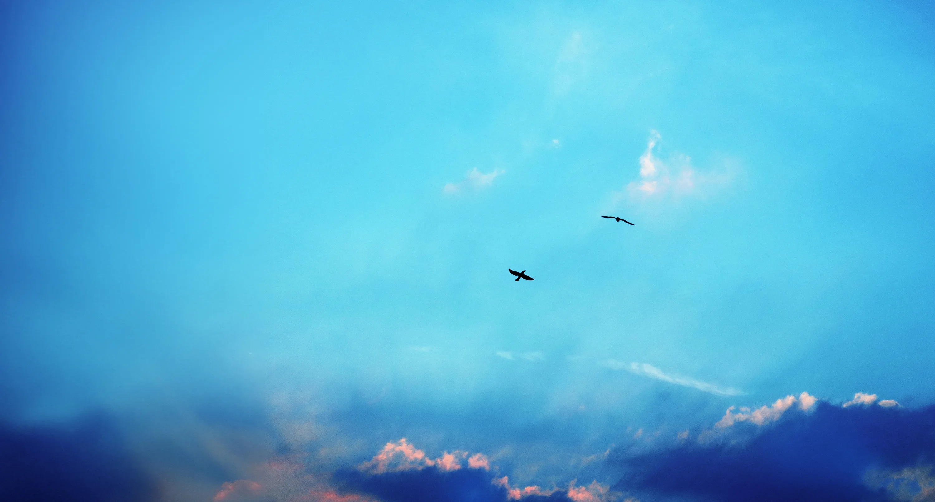 Private Equity Access Fund - Alceon